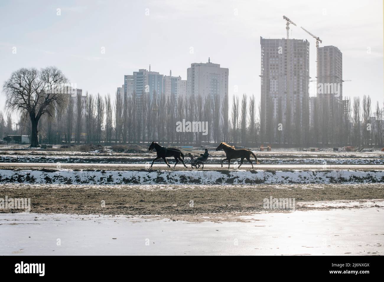 Kyiv Hippodrome, Kyiv, Ukraine Stock Photo - Alamy