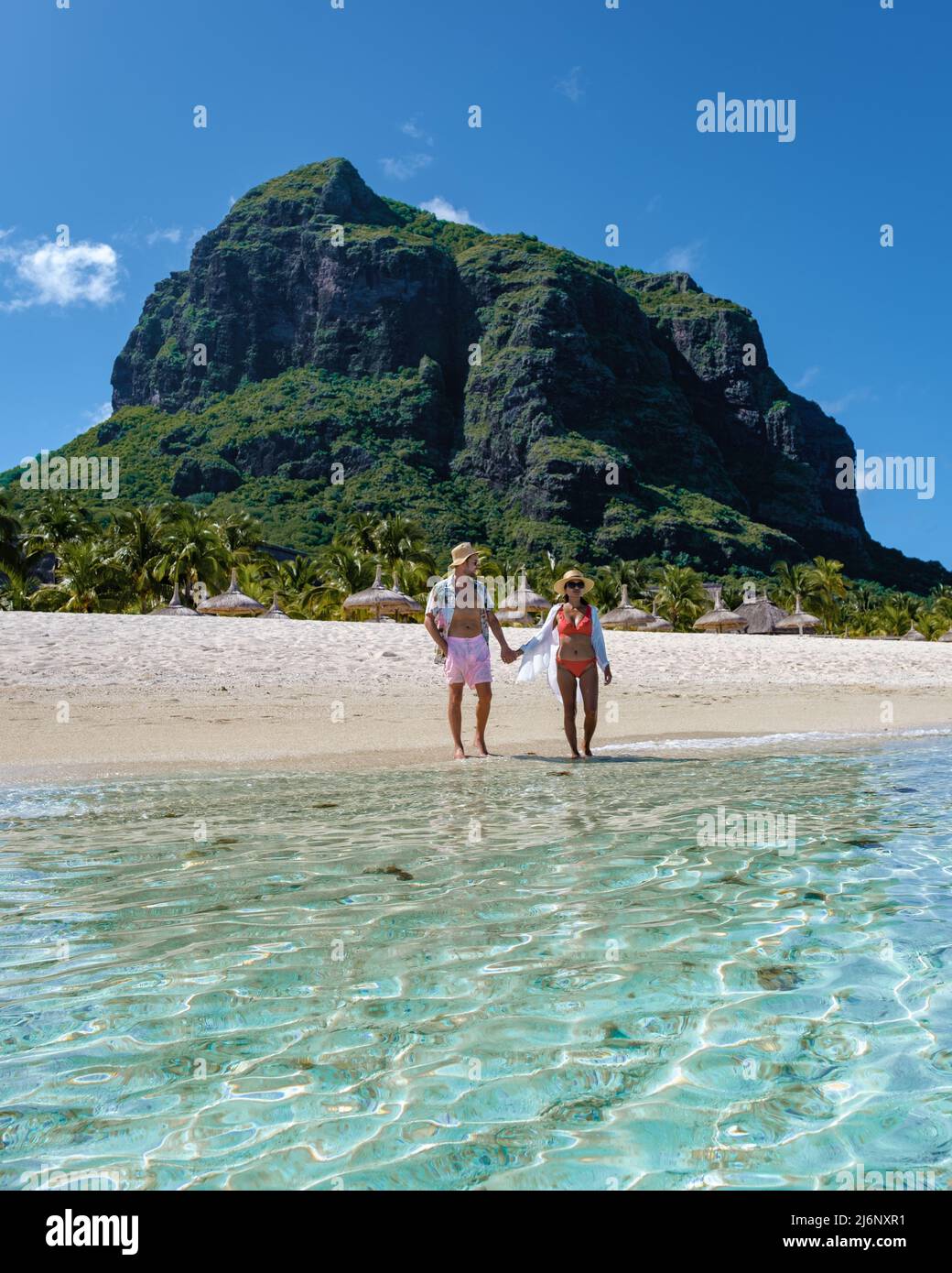 Le Morne beach Mauritius Tropical beach with palm trees and white sand ...