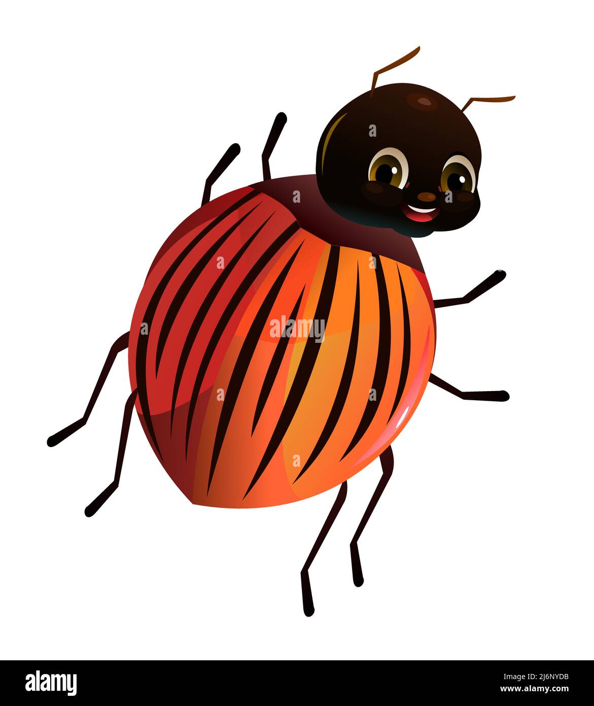 Colorado beetle. View from the back. Wildlife object. Little funny ...