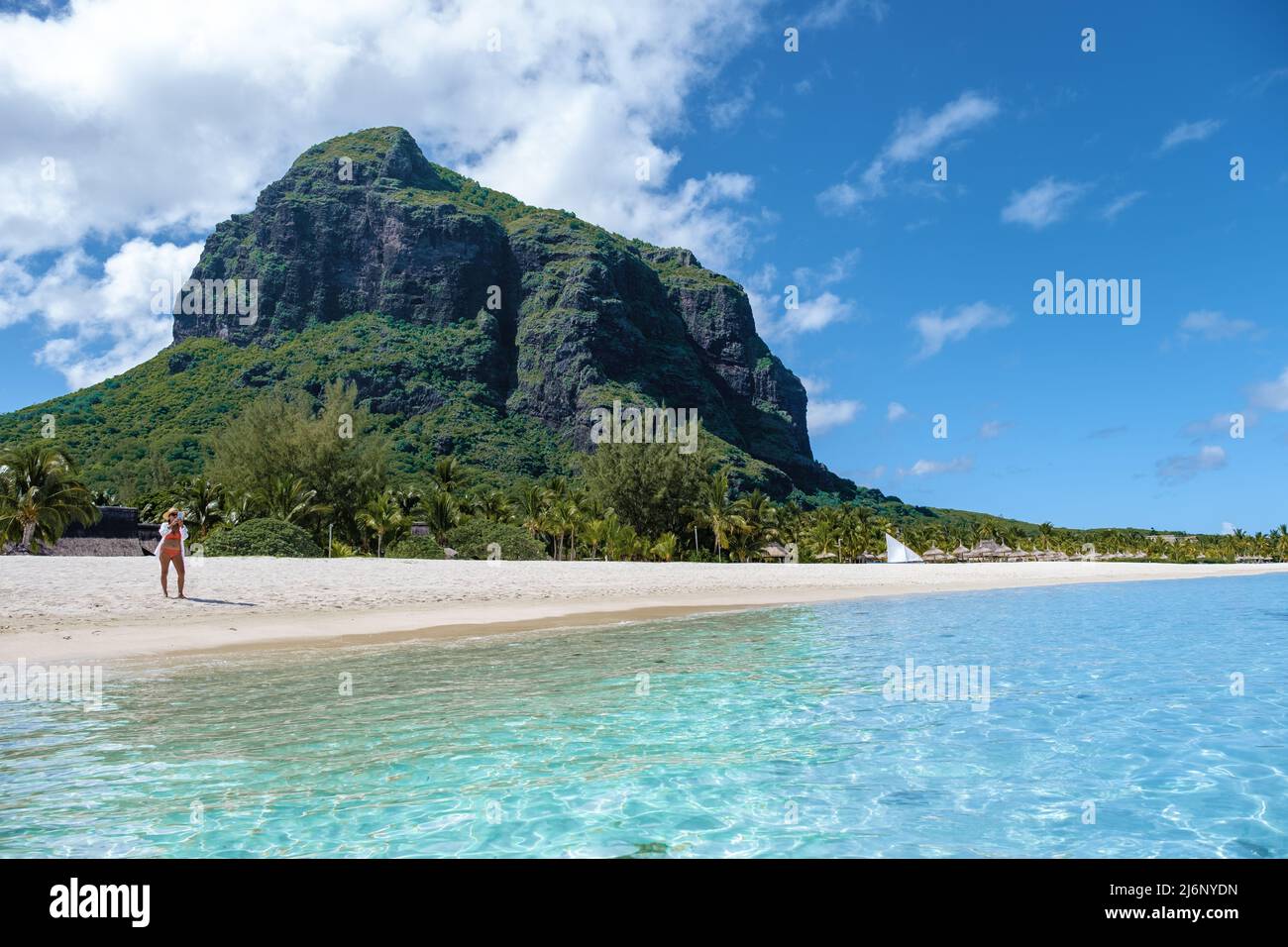 Le Morne beach Mauritius Tropical beach with palm trees and white sand ...