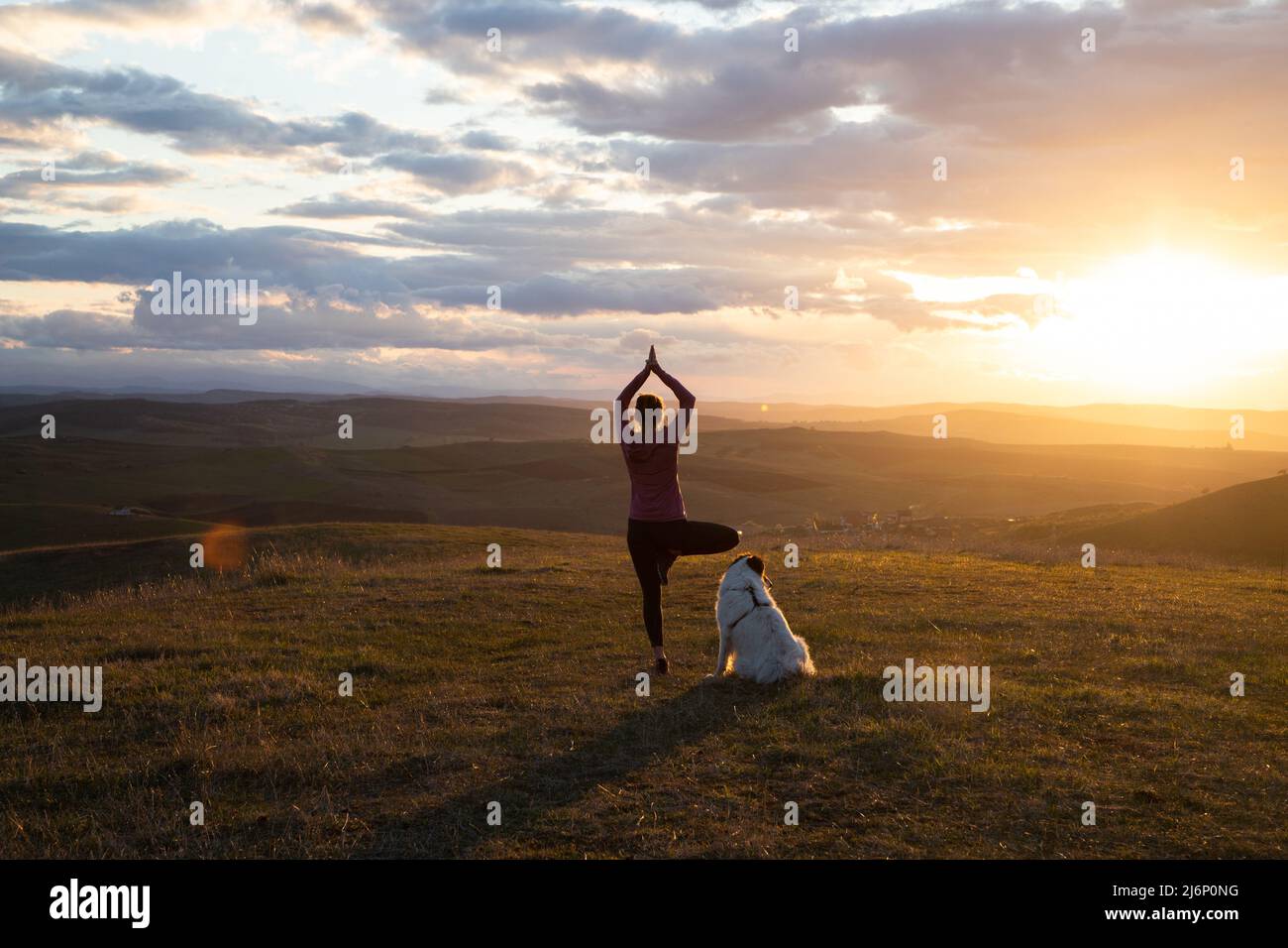 woman with white dog doing yoga at sunset tree pose vrksasana Stock ...