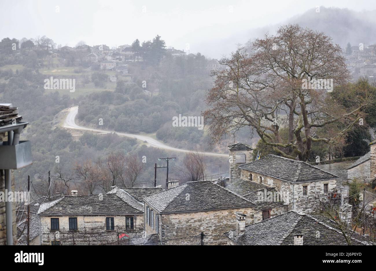 Mikro papigko hi-res stock photography and images - Alamy