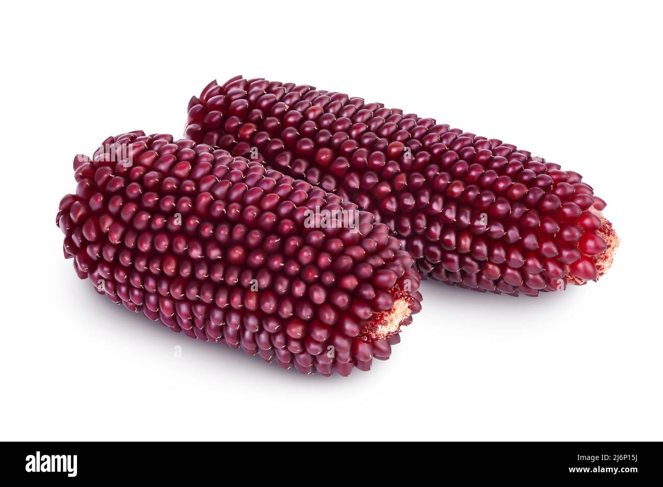 Purple corn or maize isolated on white background with clipping path ...