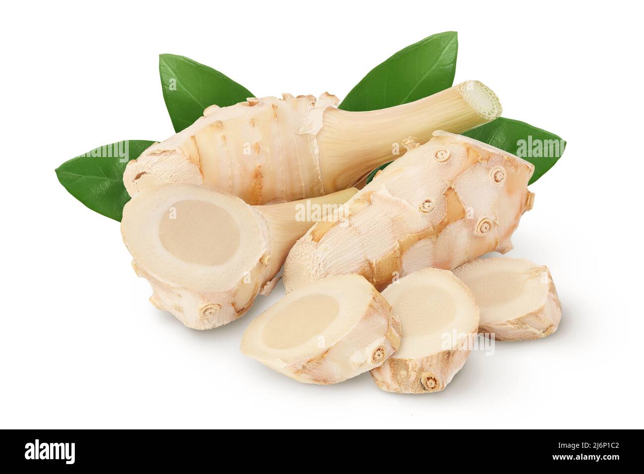 Fresh galangal root with slices isolated on white background with ...