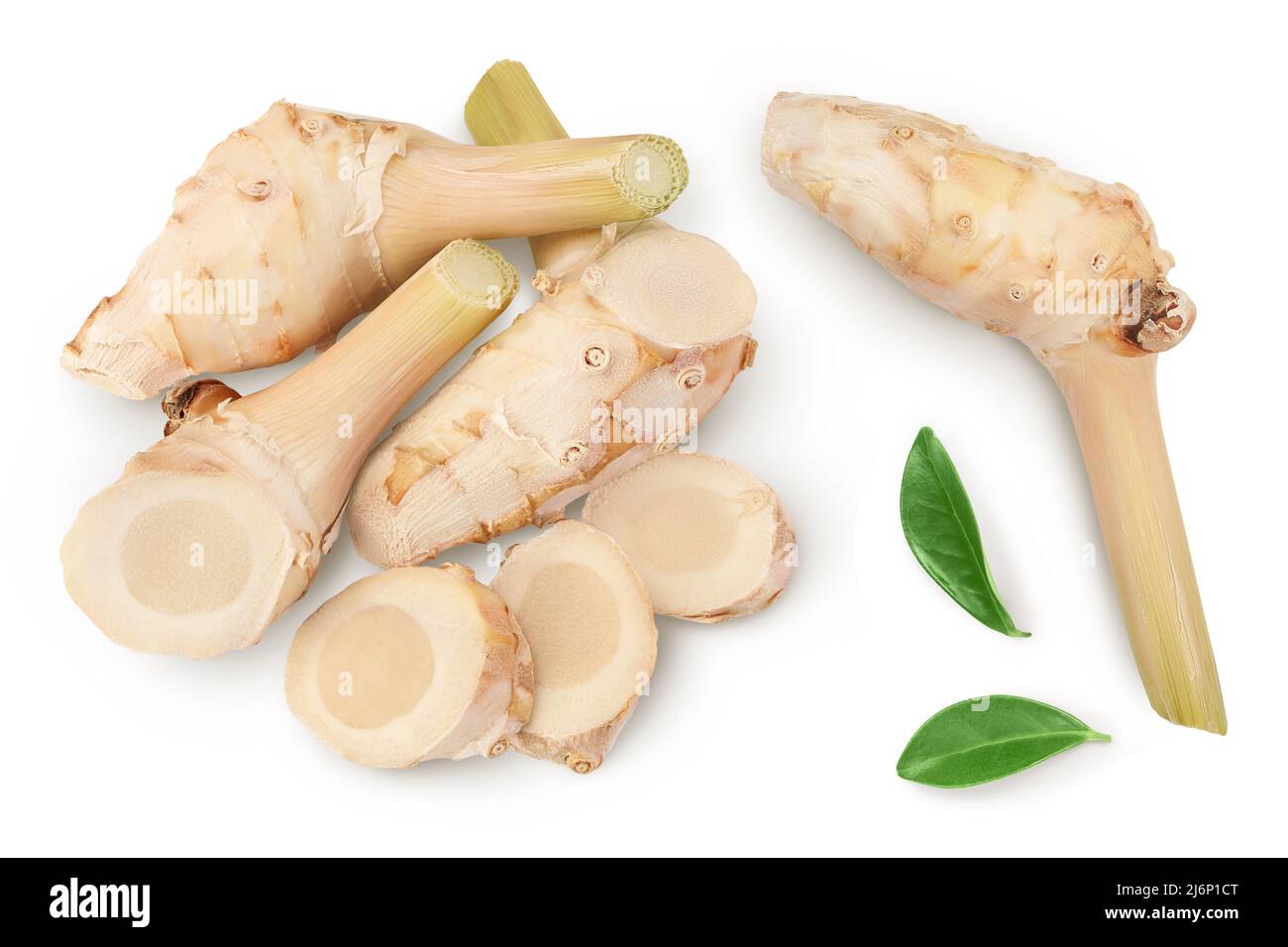 Fresh galangal root with slices isolated on white background with ...