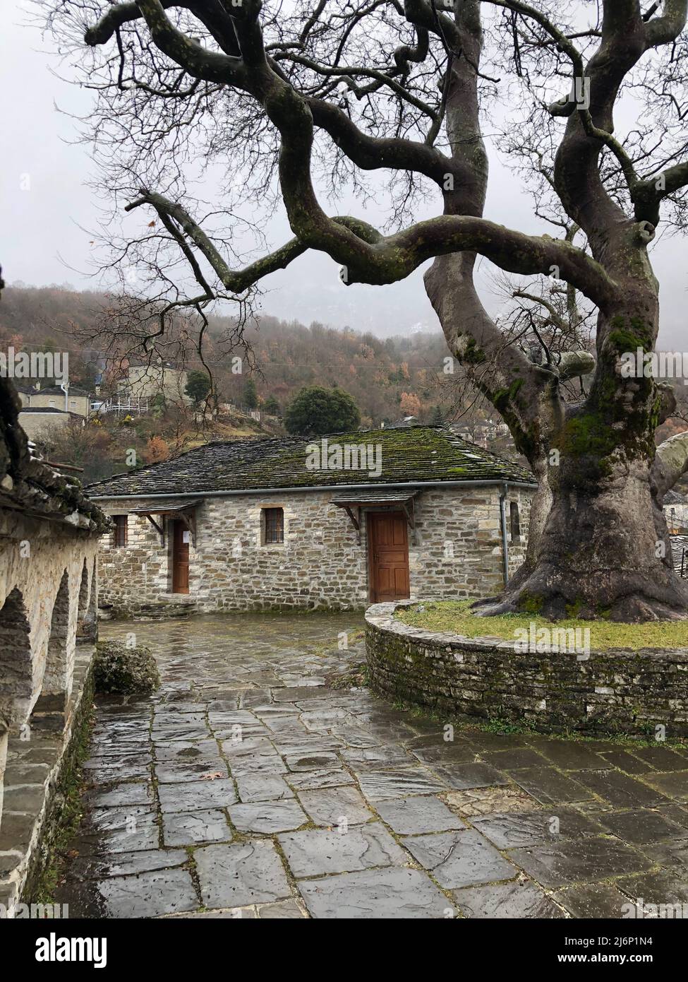 Micro papigo hi-res stock photography and images - Alamy