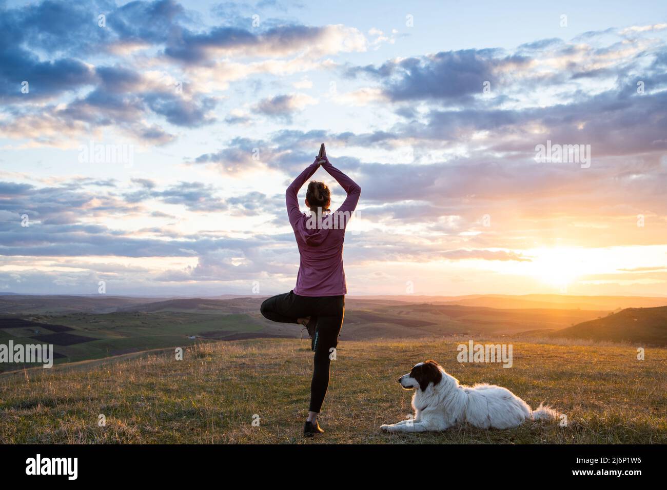 woman with white dog doing yoga at sunset tree pose vrksasana Stock ...