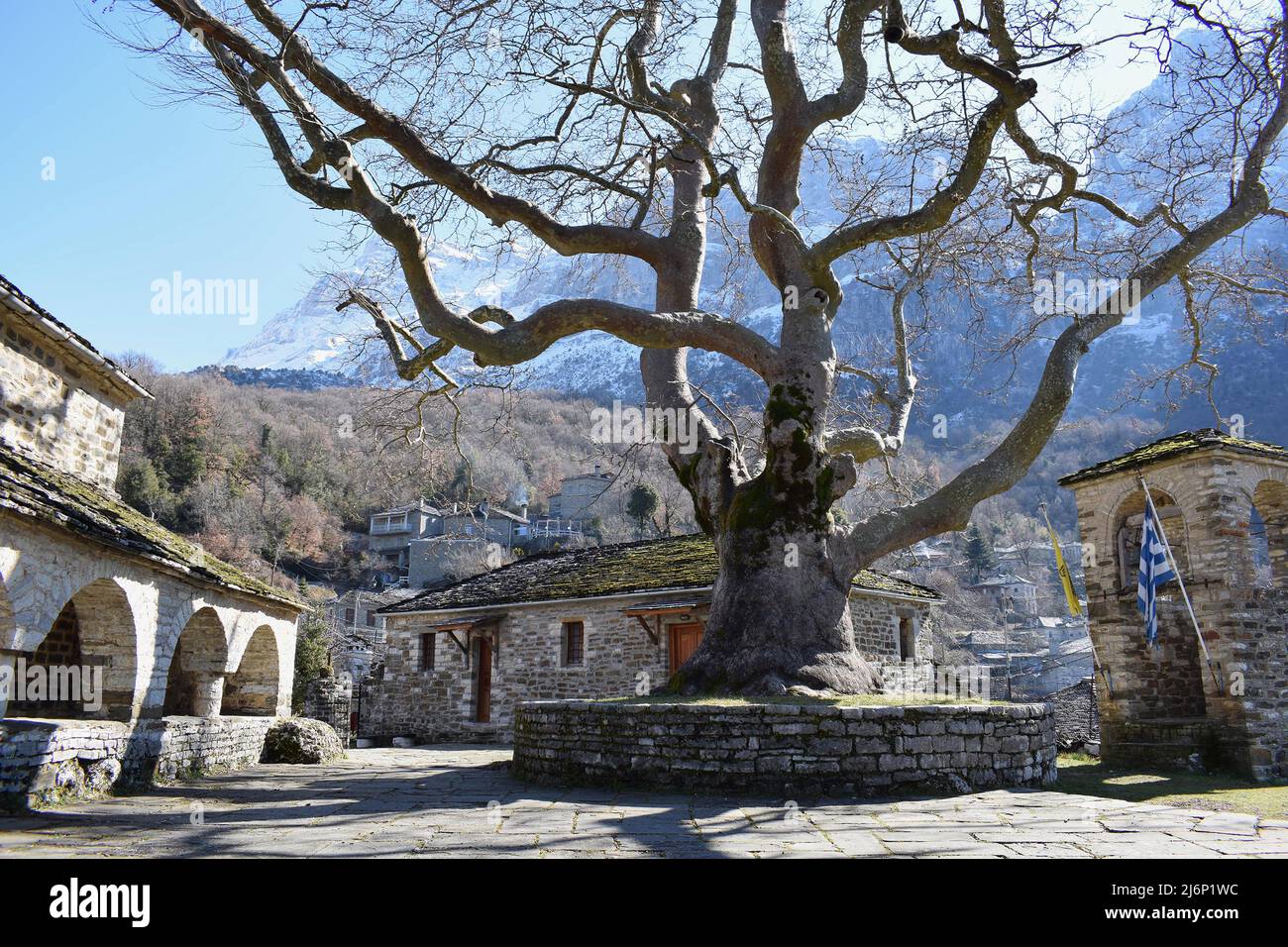 Micro papigo hi-res stock photography and images - Alamy