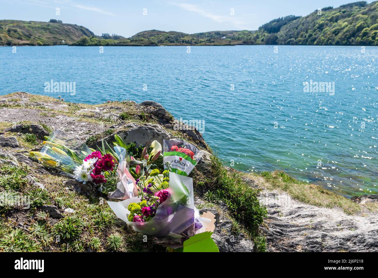 Lough Hyne, West Cork, Ireland. 3rd May, 2022. Flowers and a 'Lough ...