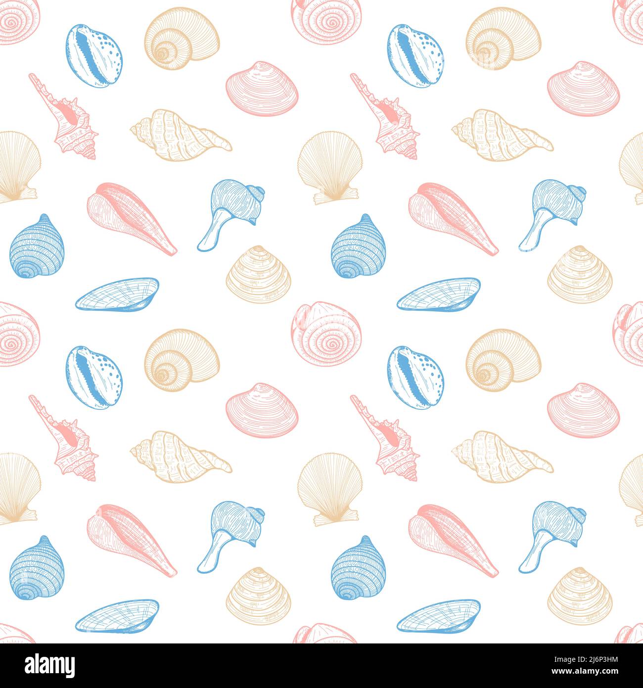 Seamless pattern of seashells. A collection of round and spiral shells ...