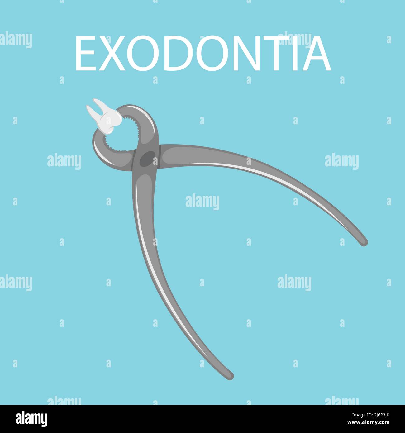 Dental tooth extraction. Exodontia. The tooth in the dental forceps. A ...