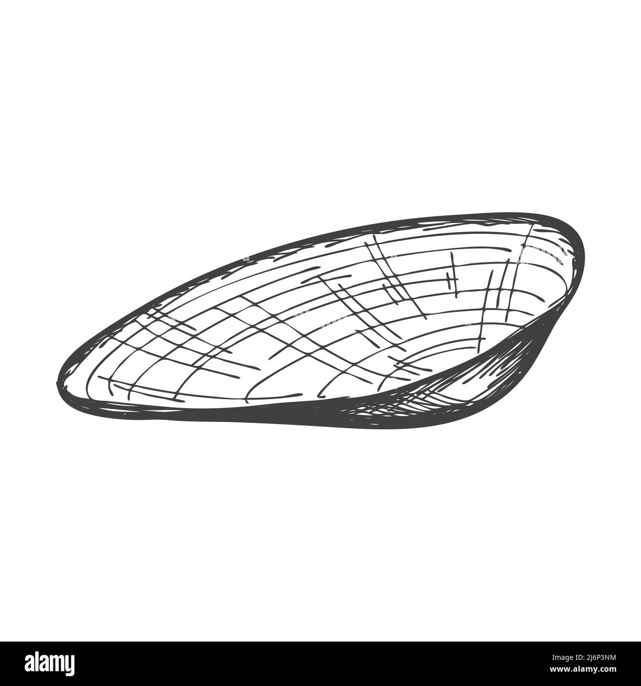 Hand-drawn seashells. An empty, closed, flat, oval solid shell of a ...