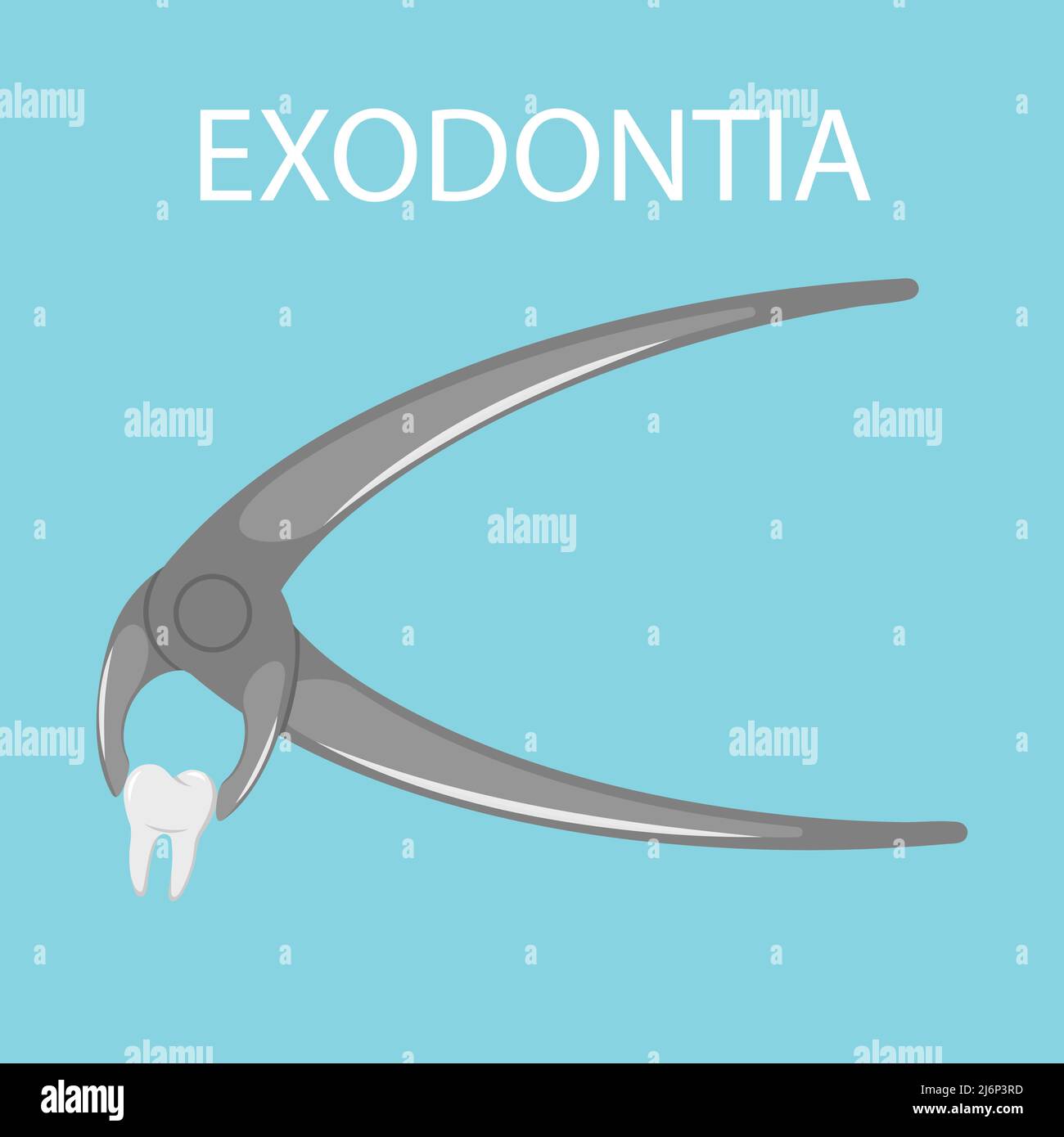 Dental tooth extraction. Exodontia. The tooth in the dental forceps. A ...