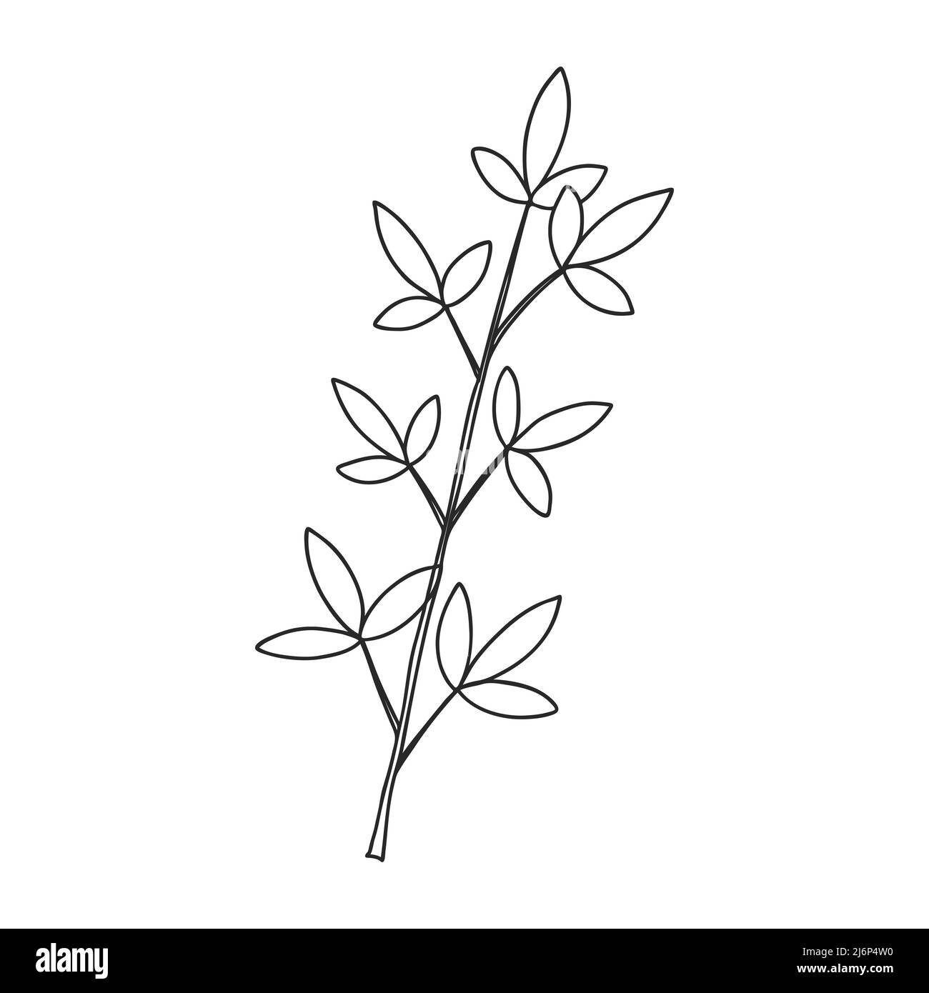 Hand drawn vector plants hi-res stock photography and images - Alamy