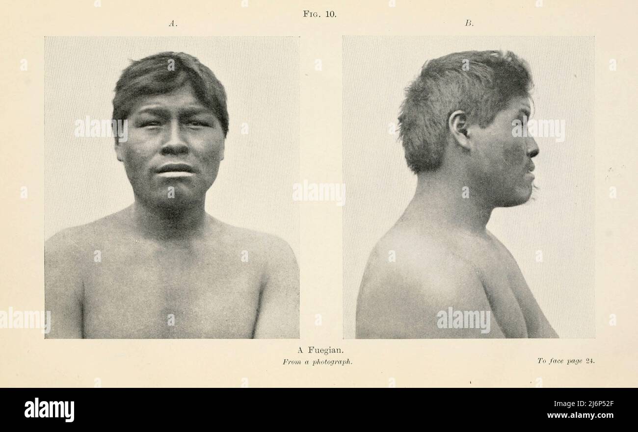 Illustration of a fuegian hi-res stock photography and images - Alamy