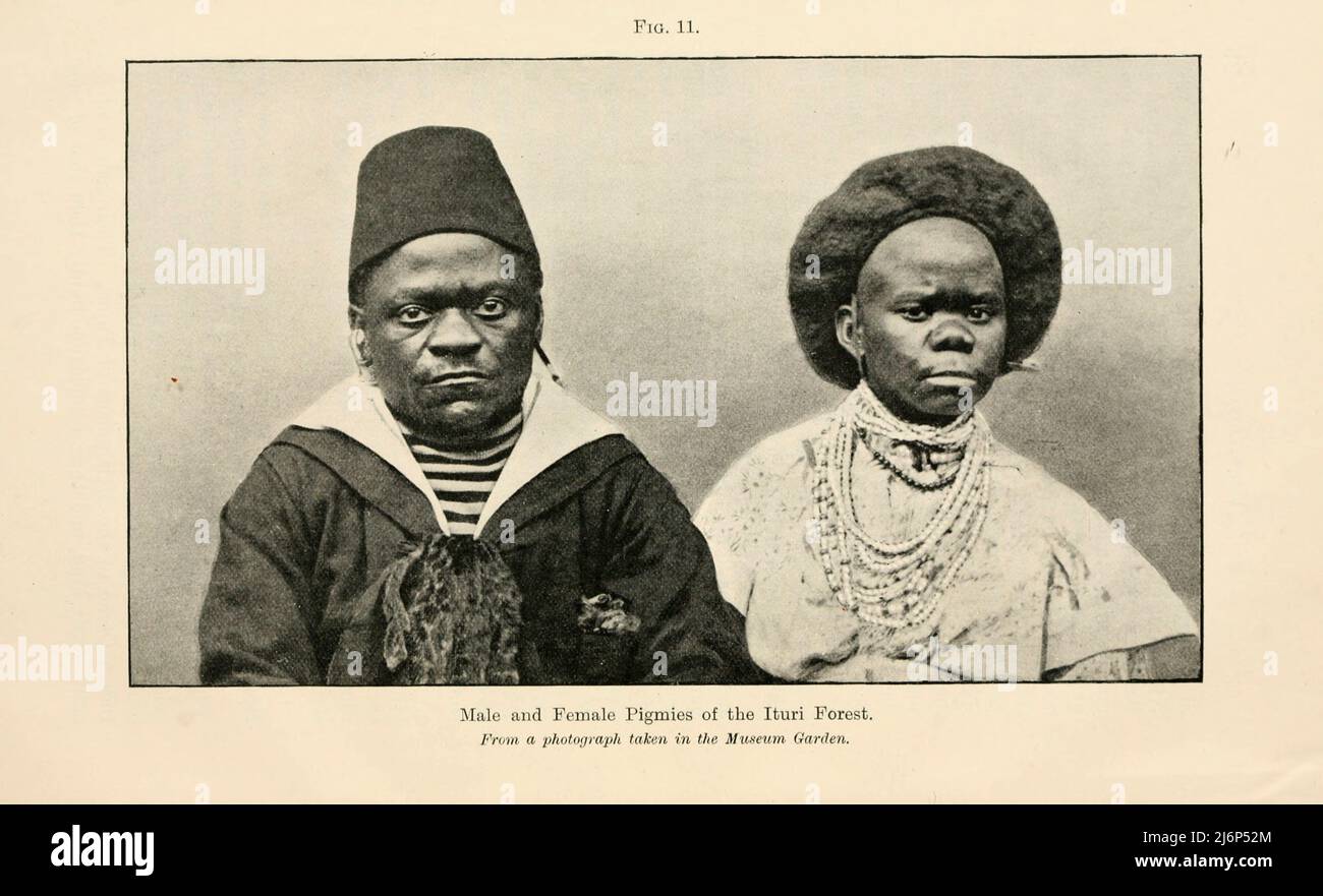 Male and Female Pigmies of the Ituri Forest (Congo) from the book ...