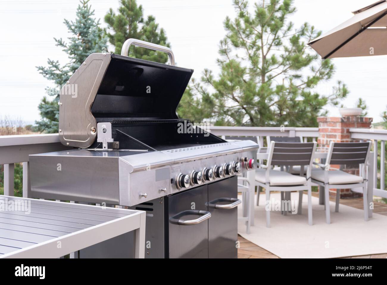 Outdoor six-burner gas grill on the back patio of a luxury single ...