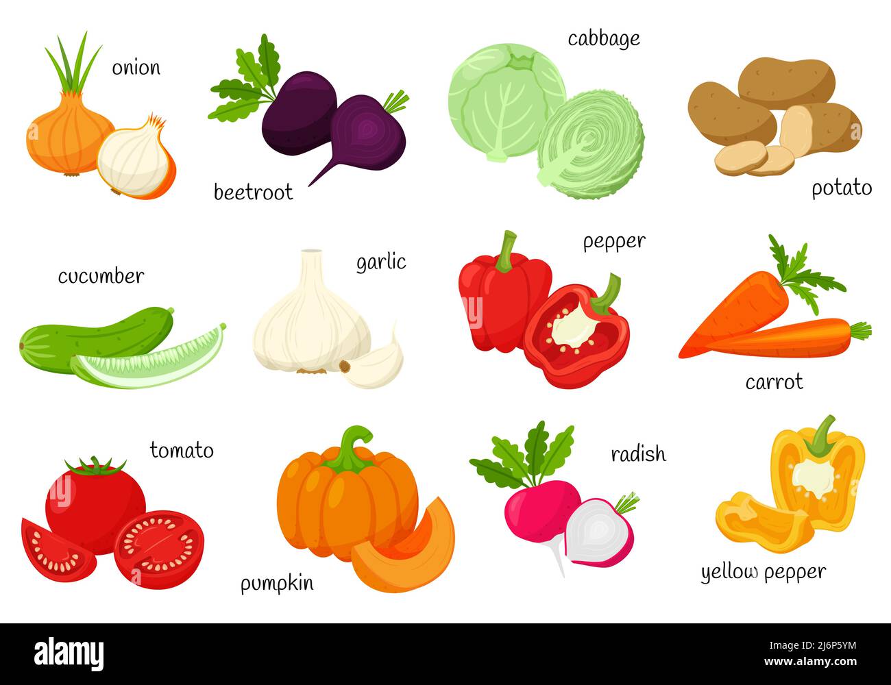 Set of fresh vegetables with signed items. Whole and half. Collection ...