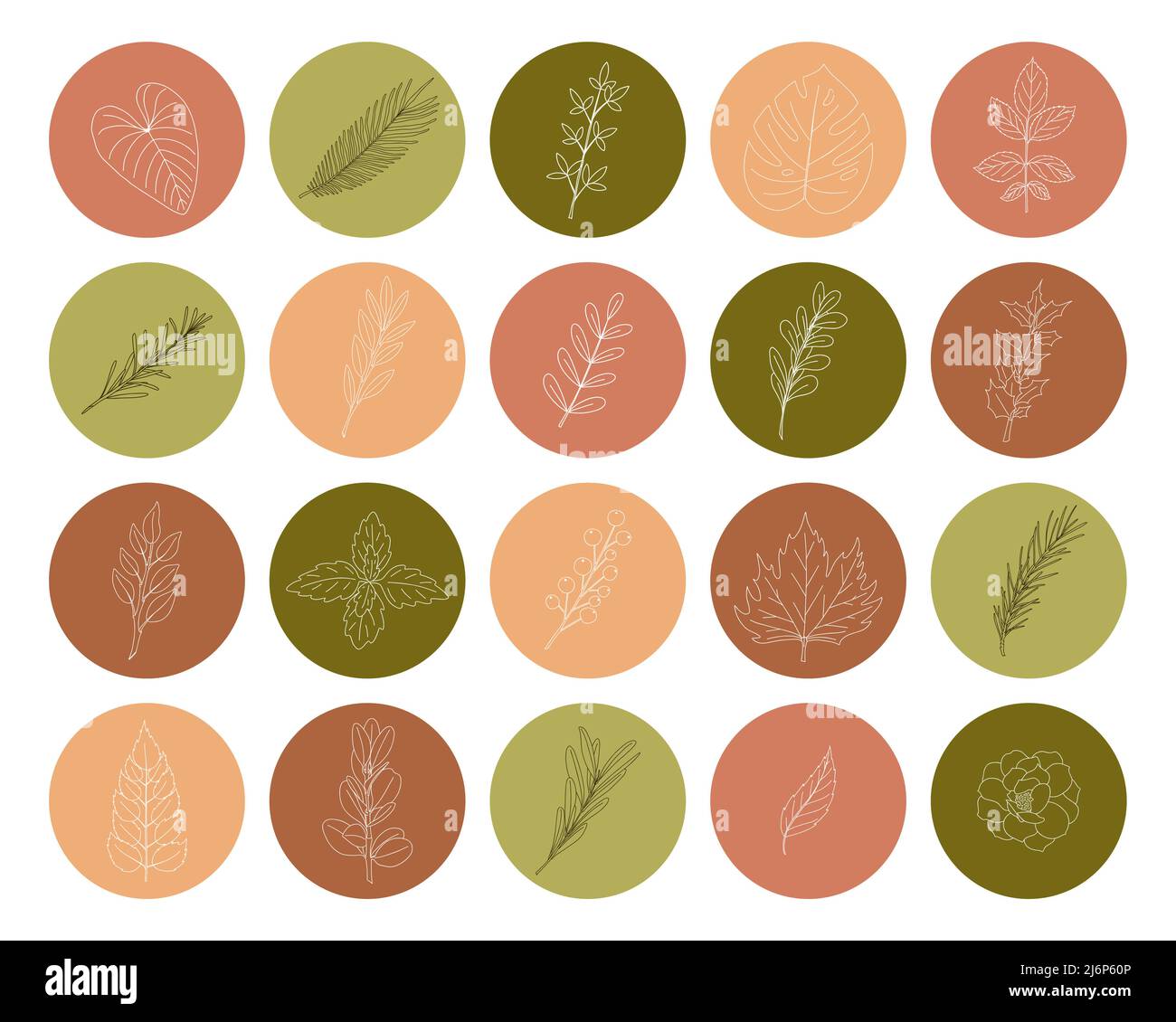 Vector lines pink green Cut Out Stock Images & Pictures - Alamy