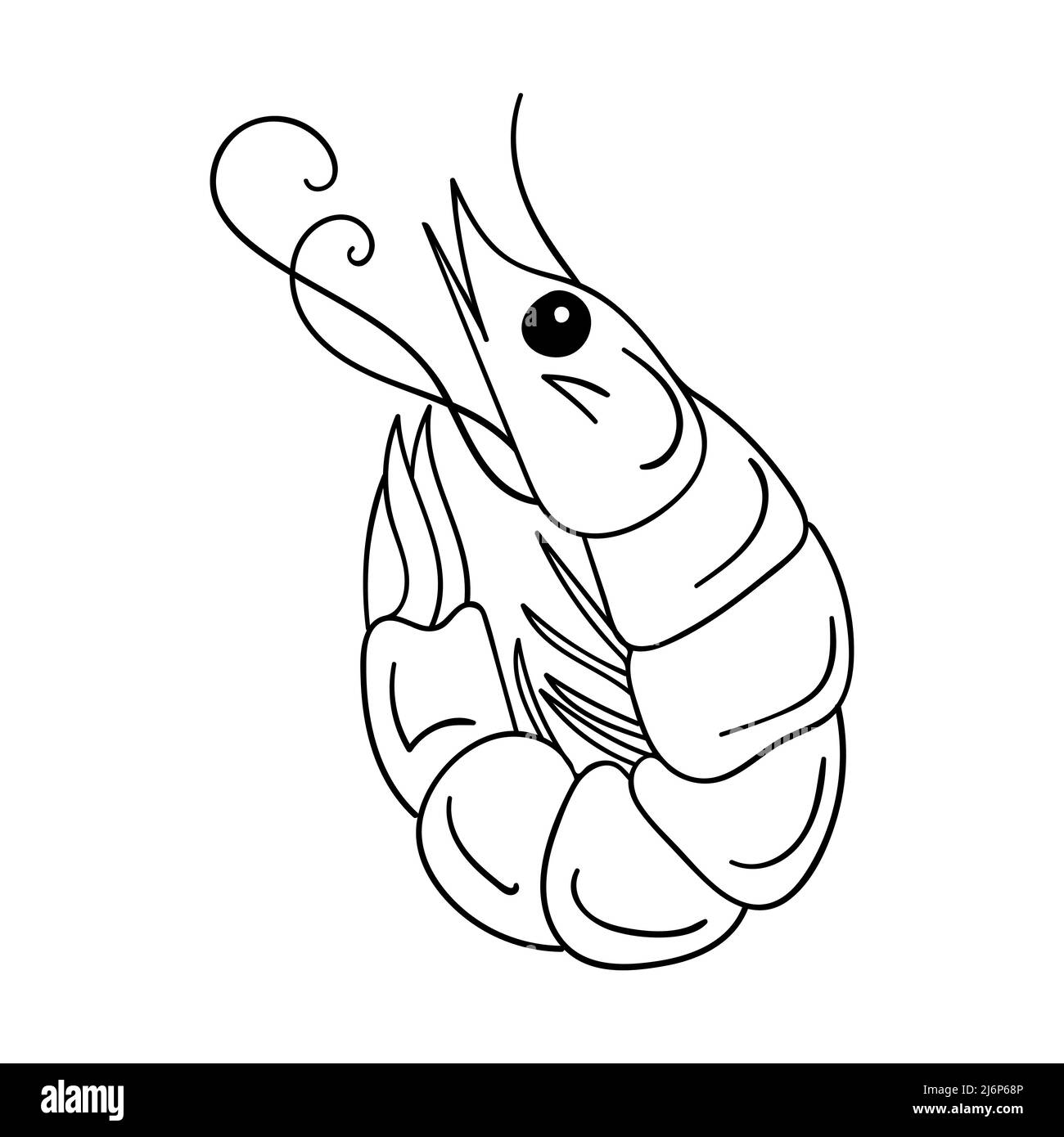 The shrimp is rolled up. Seafood, plankton, krill. Outline sketch food ...