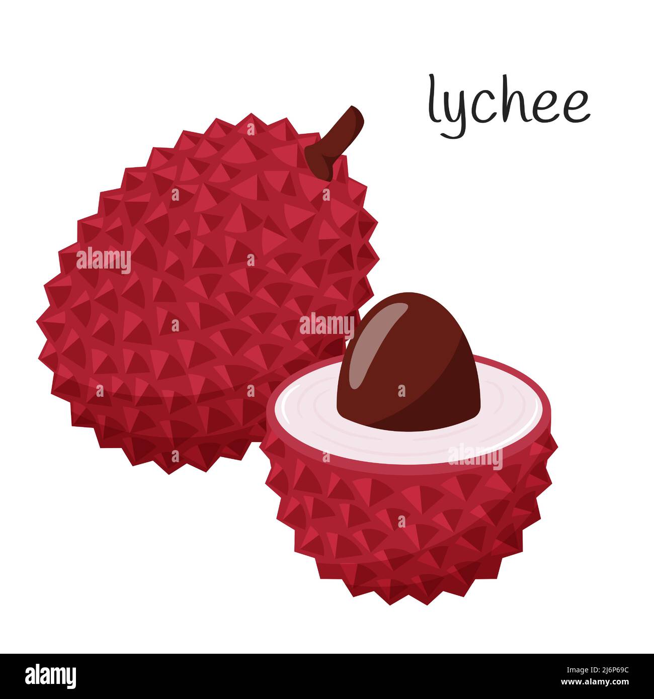 Vector lichi Cut Out Stock Images & Pictures - Alamy