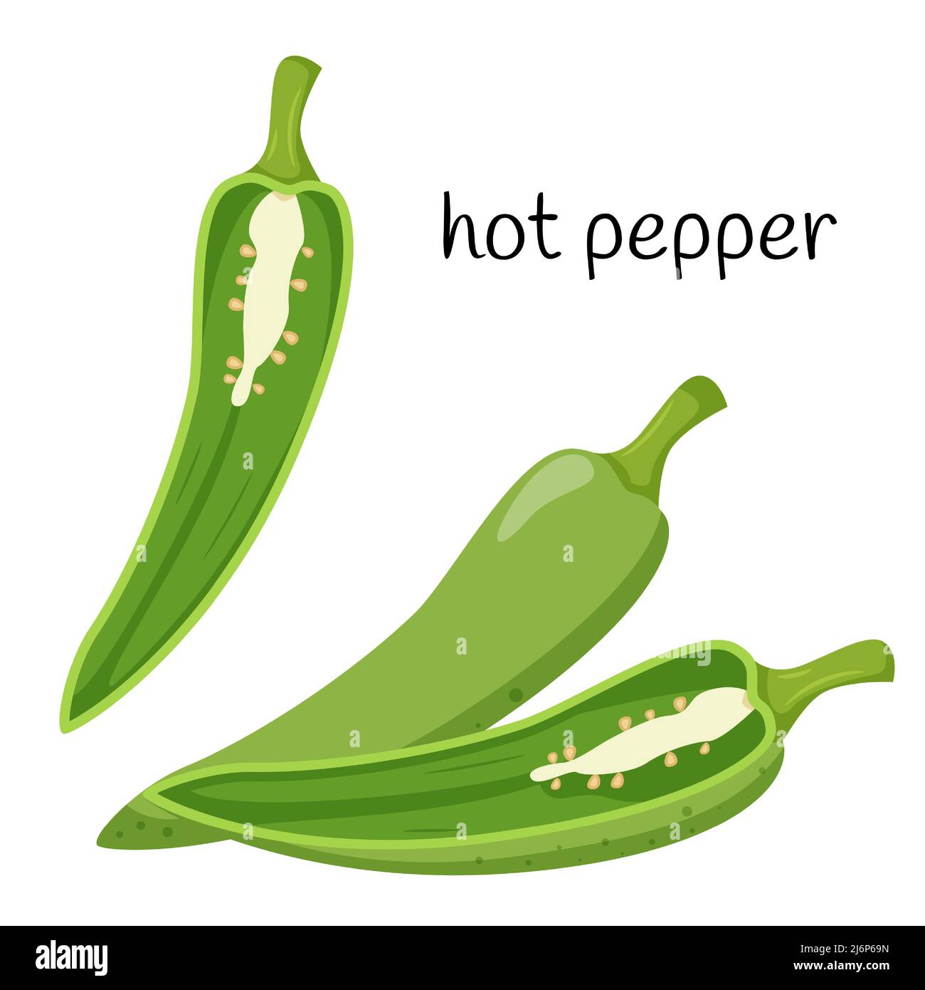 Green jalapeno pepper in Stock Vector Images - Alamy