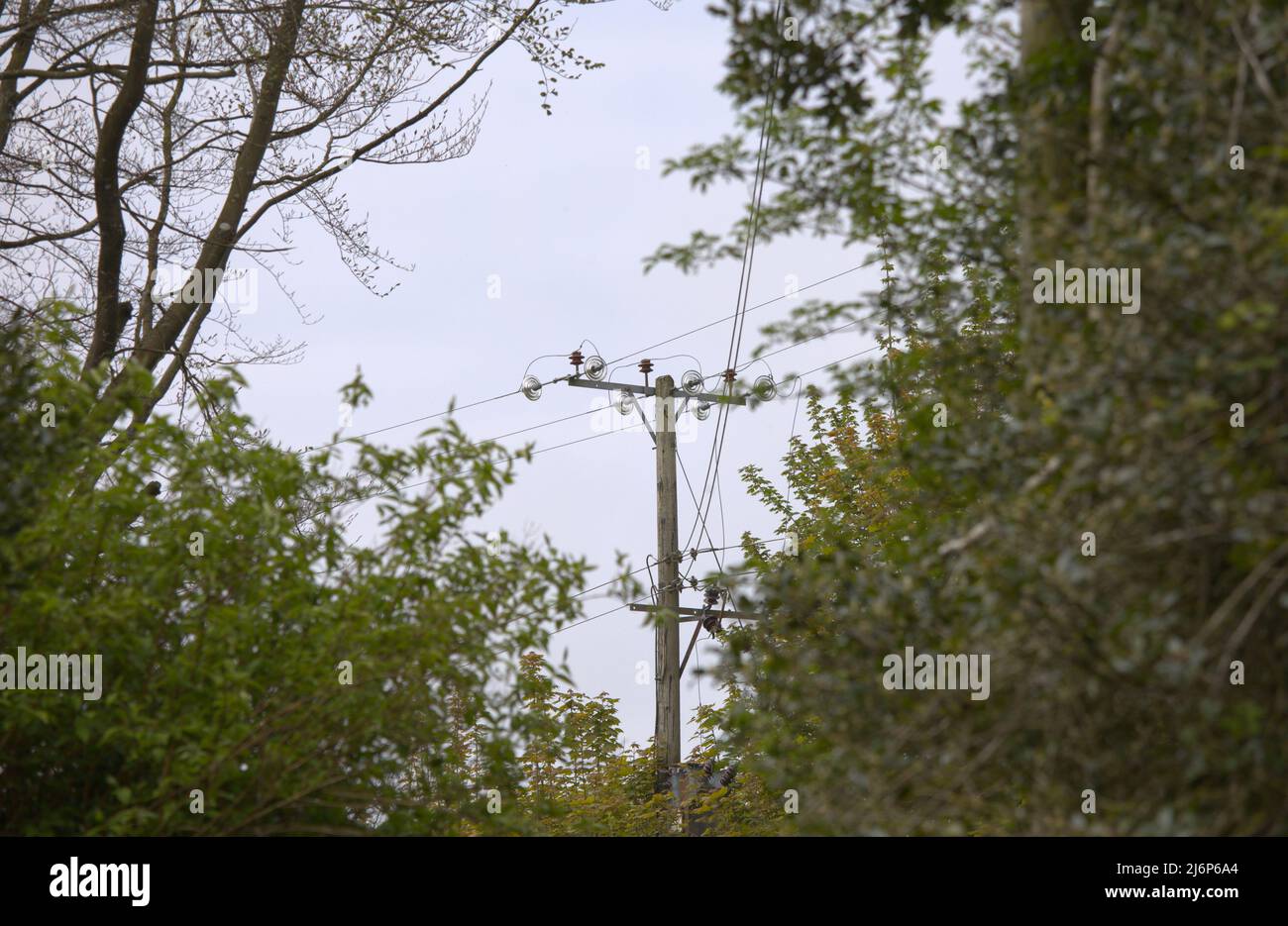 Electricity overhead power lines of high and medium voltage ...