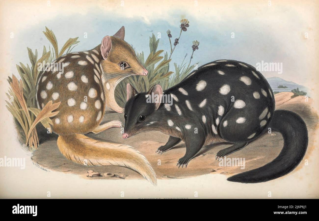 1960s publication hi-res stock photography and images - Alamy