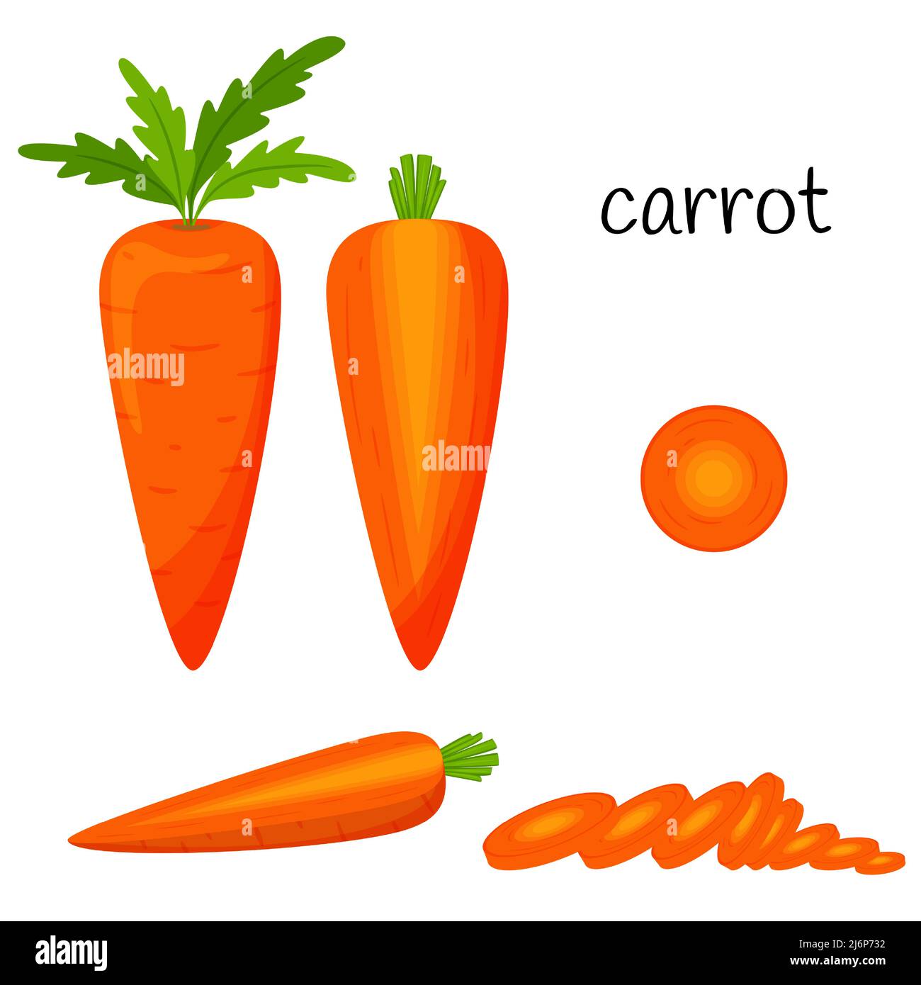 Carrot root cross section Stock Vector Images - Alamy