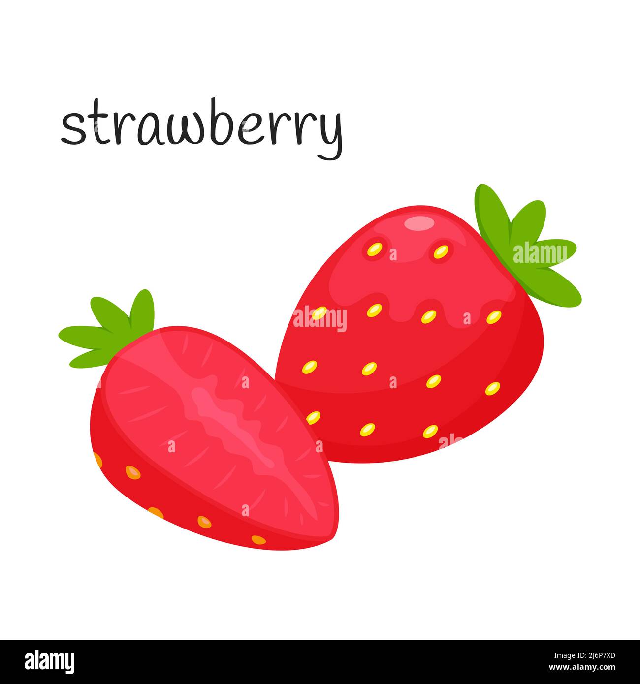 Cross section of strawberries Stock Vector Images - Alamy