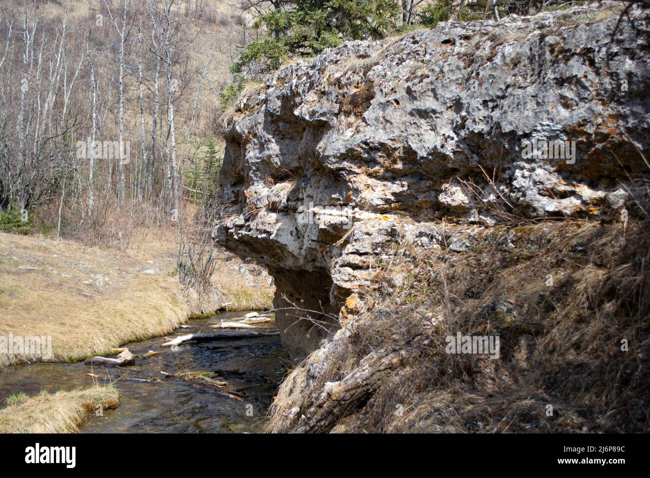 Spring Rock Formation from Minerals - Stream Rock Carved Stock Photo ...