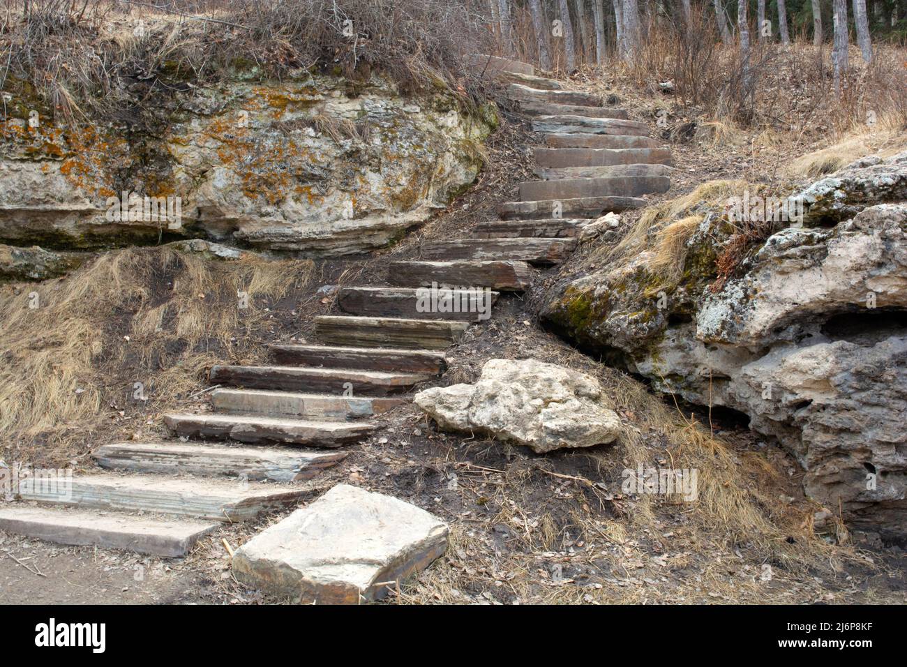 Natural Stone Steps in Nature Park Forest Stock Photo - Alamy