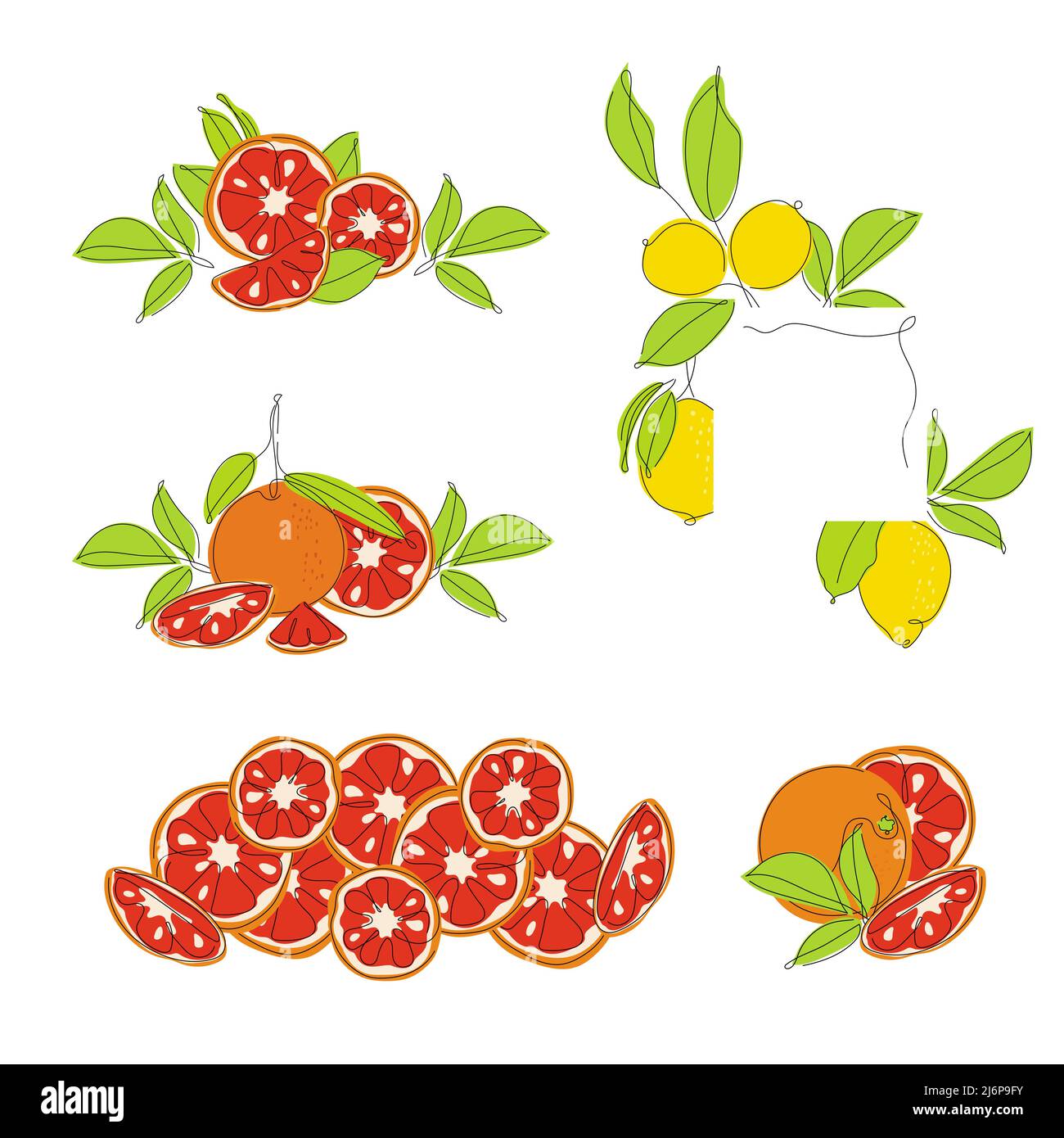 Set of collection compositions with orange, lemon and grapefruit citrus ...