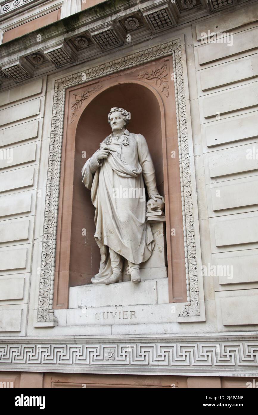 Statue of Georges Cuvier at Royal Academy of Arts, London, England, UK ...