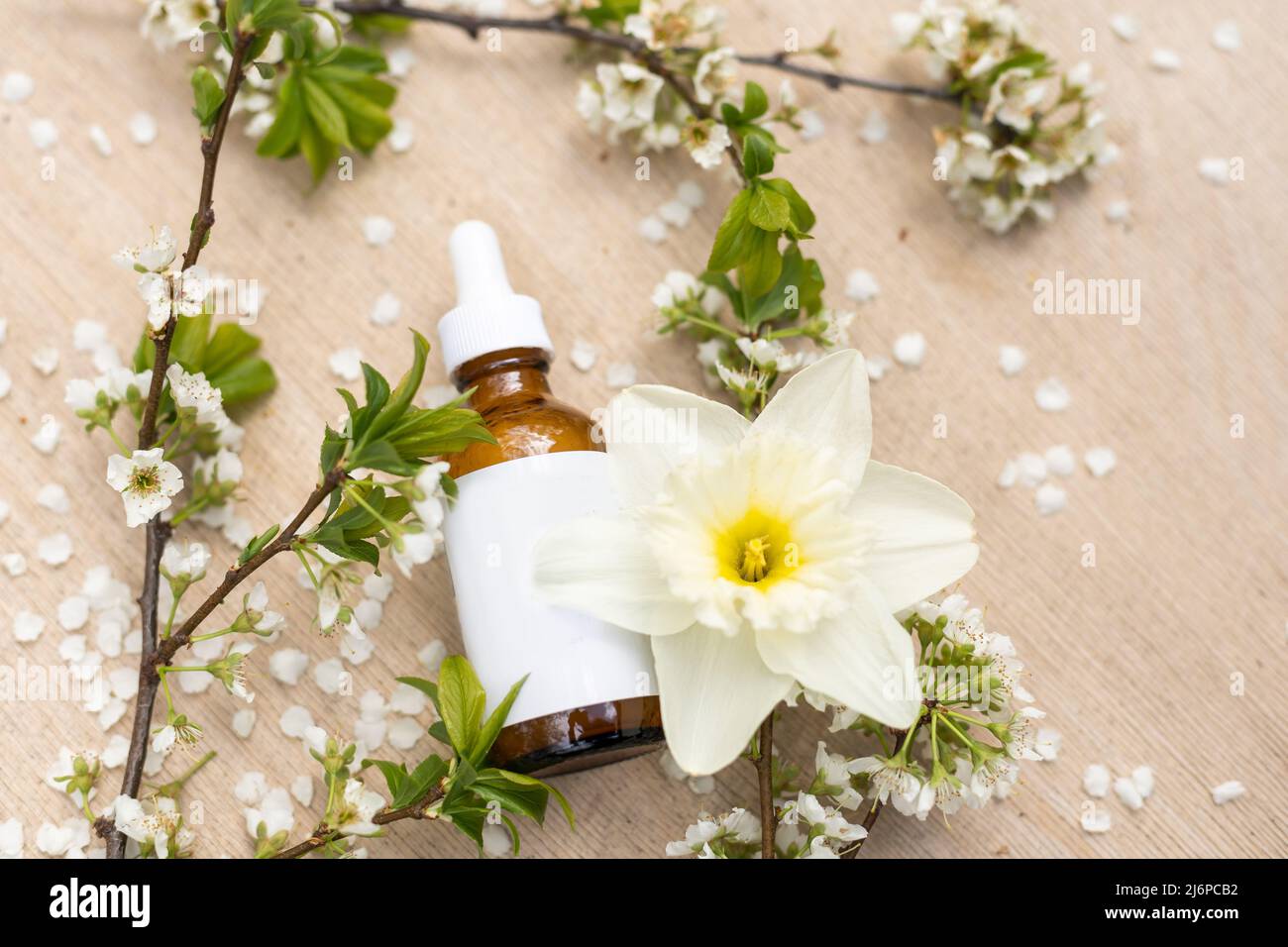 One white blank cosmetic tube bottle and flower, blooming branch on ...