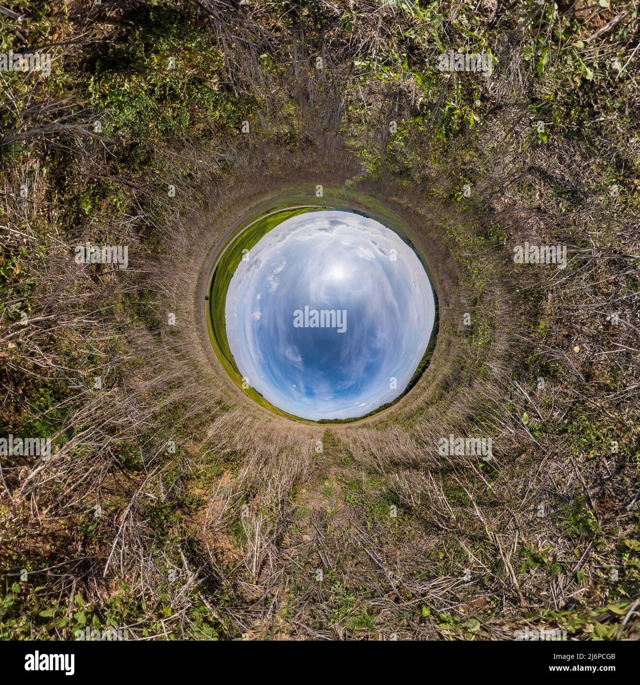 blue sphere little planet inside green grass round frame background ...