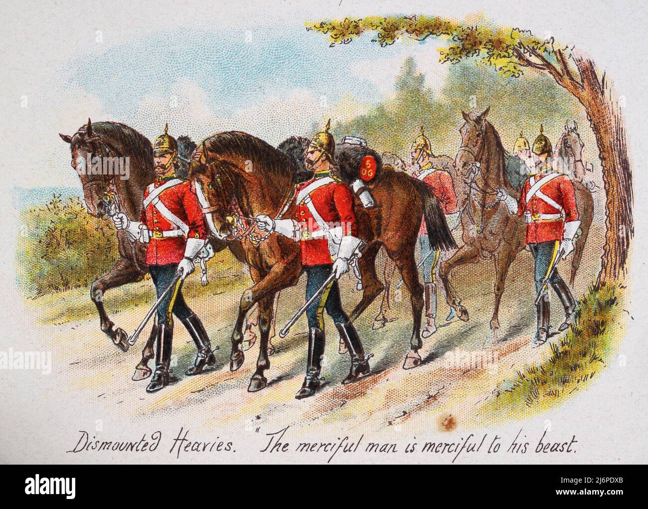 Victorian British Army, Heavy cavalry walking their horses, 1890s 19th ...