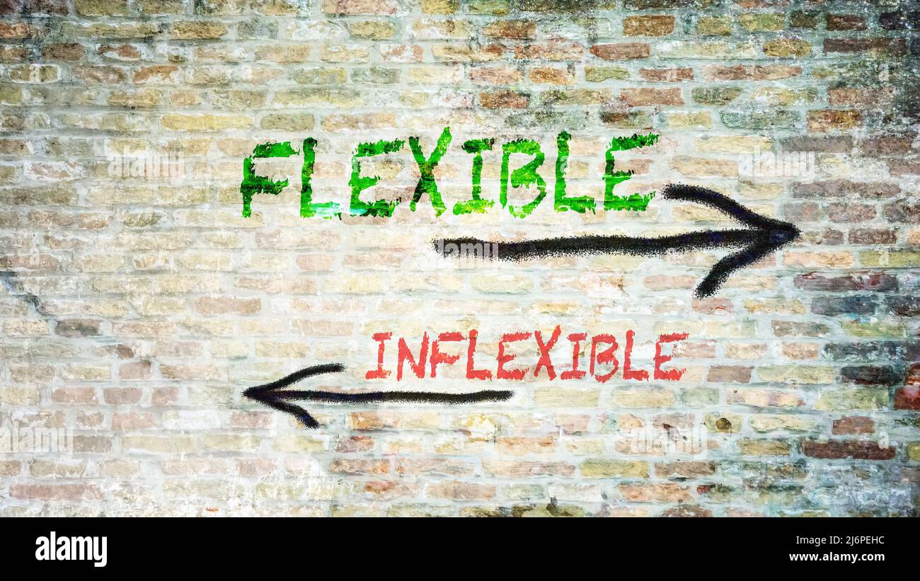 Street Sign the Direction Way to Flexible versus Inflexible Stock Photo ...