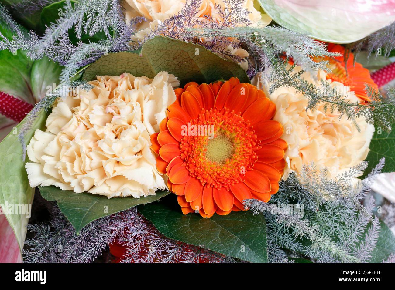 Flower background with gerbera and carnation flowers. Party decor Stock Photo - Alamy