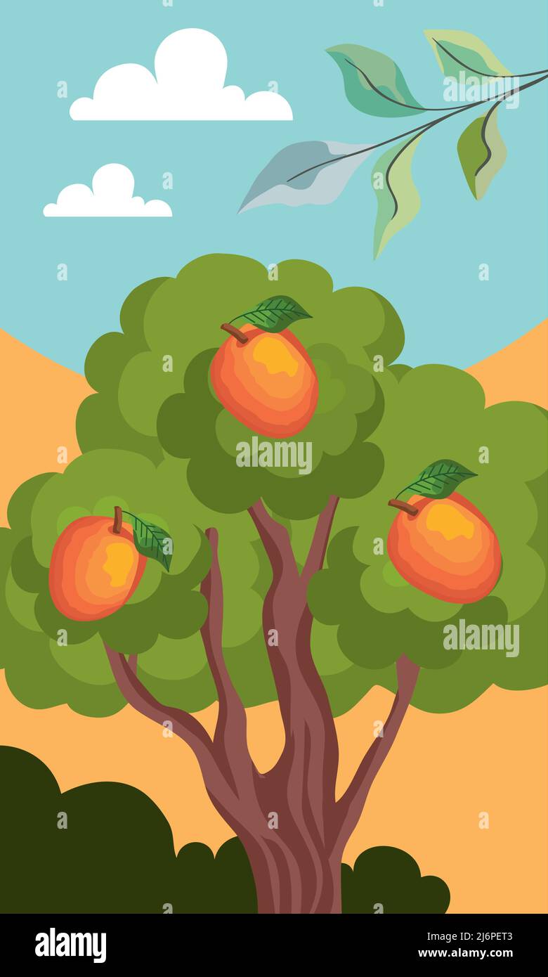 mango tree plant landscape Stock Vector Image & Art - Alamy