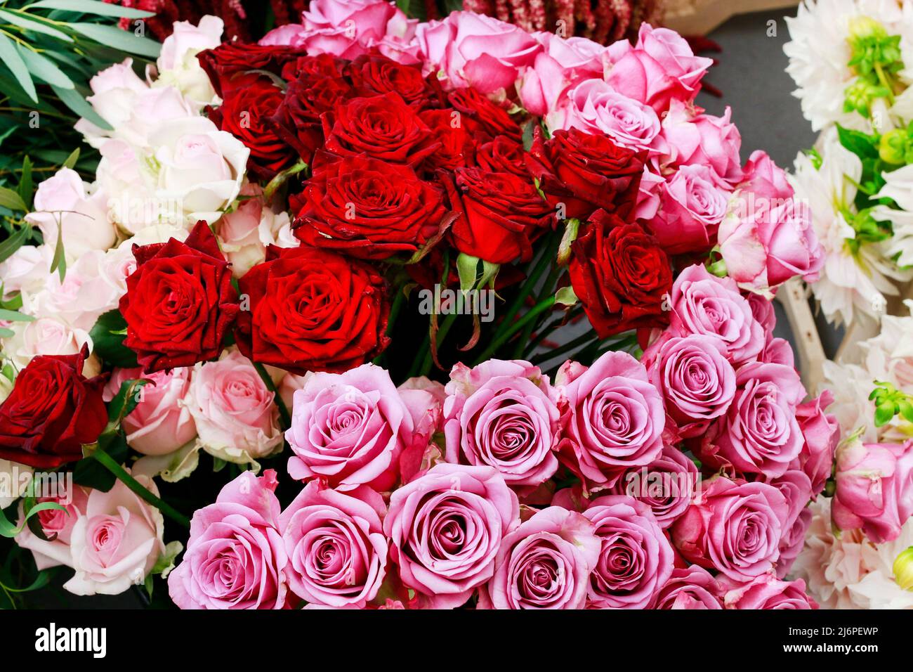 Red and pink roses, party decor Stock Photo - Alamy