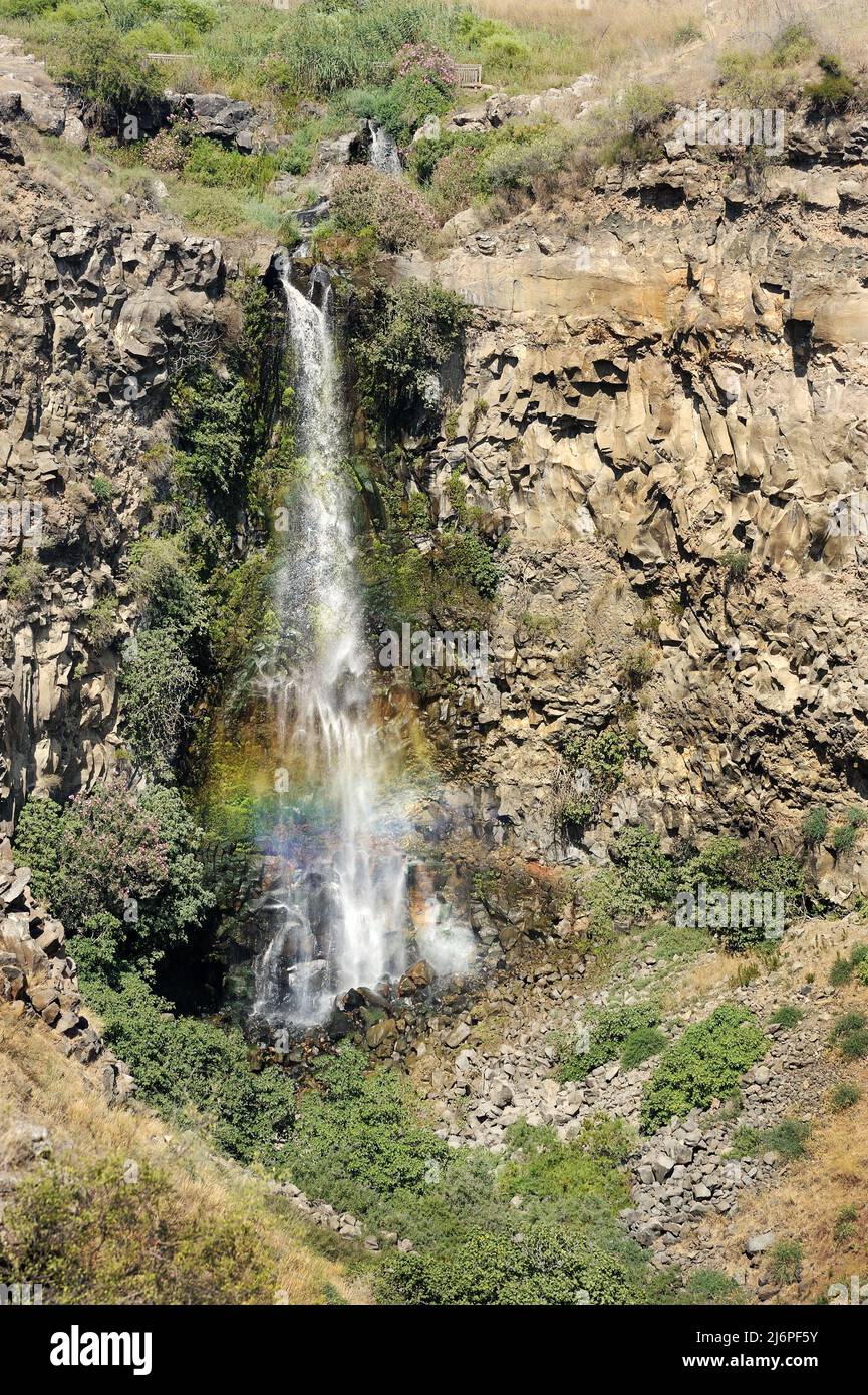 Gamla Nature Reserve in Israel - the ancient city and the tallest ...