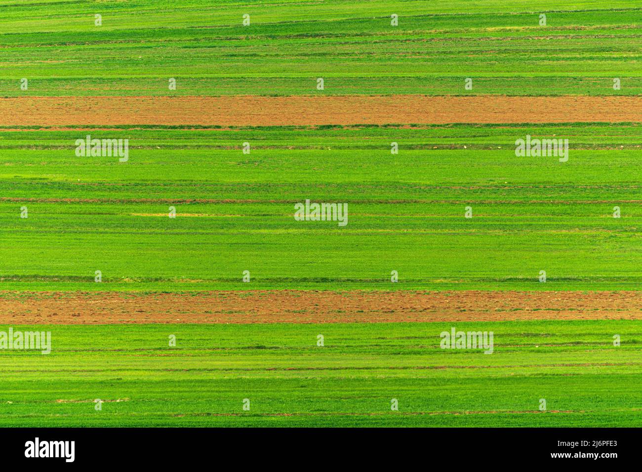 Cultivated farm fields background hi-res stock photography and images ...
