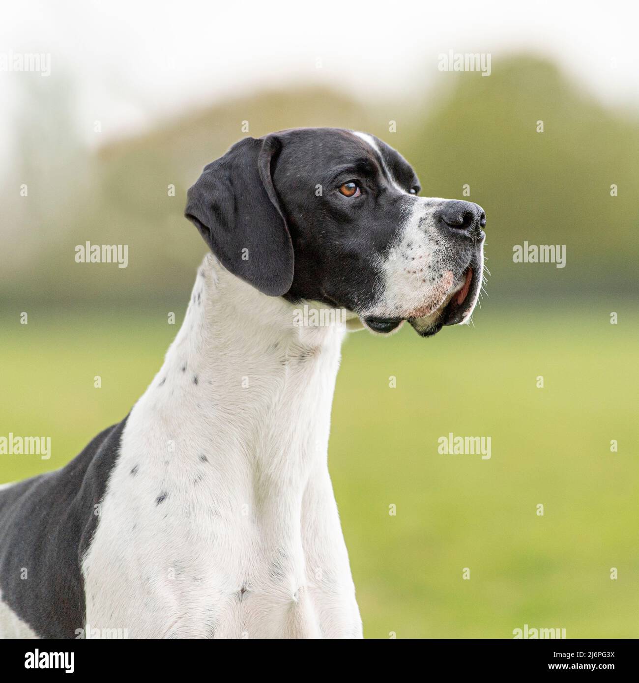 Pointer up hi-res stock photography and images - Alamy