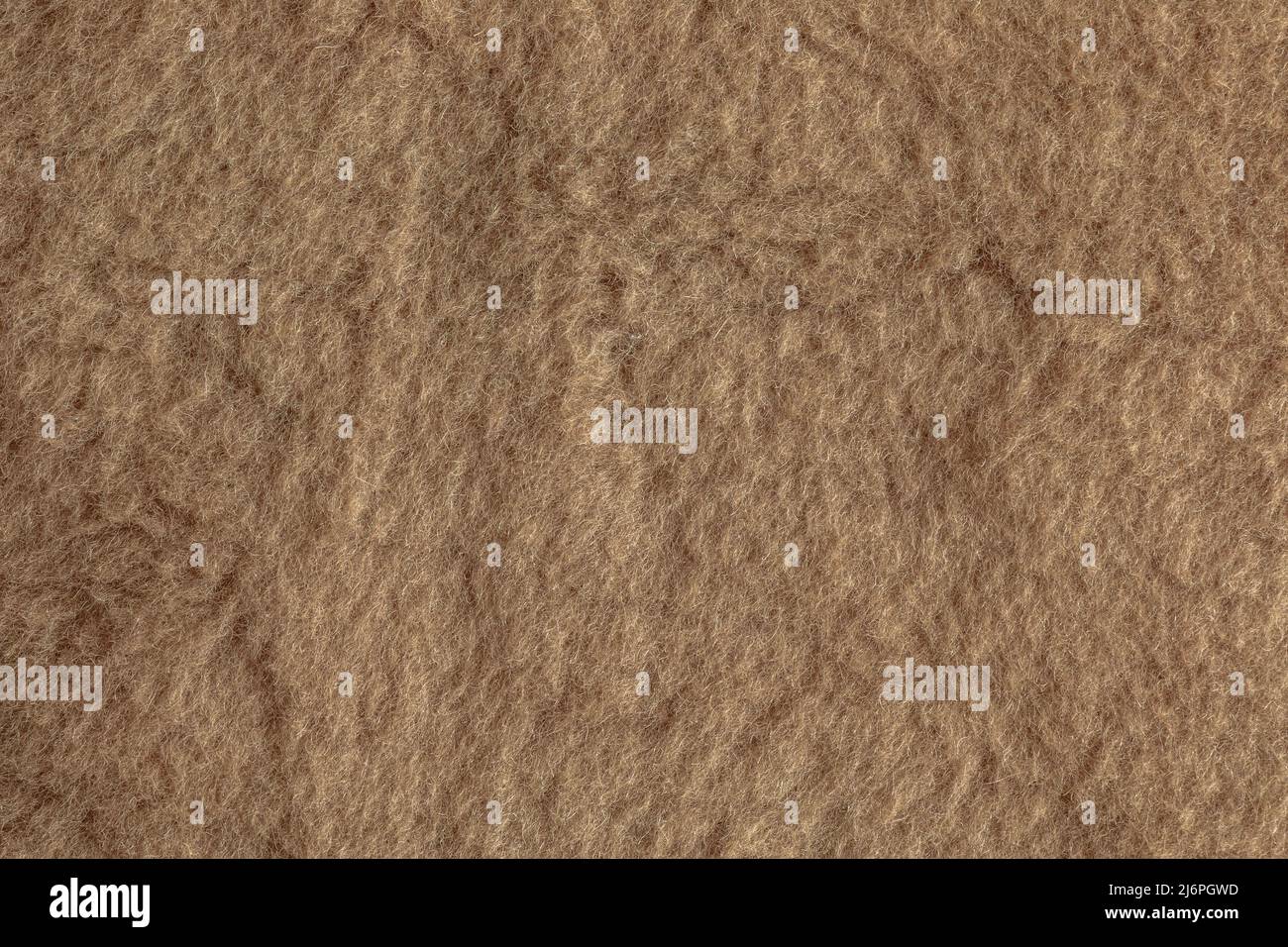 Background picture of a soft fur beige carpet. Wool sheep fleece ...