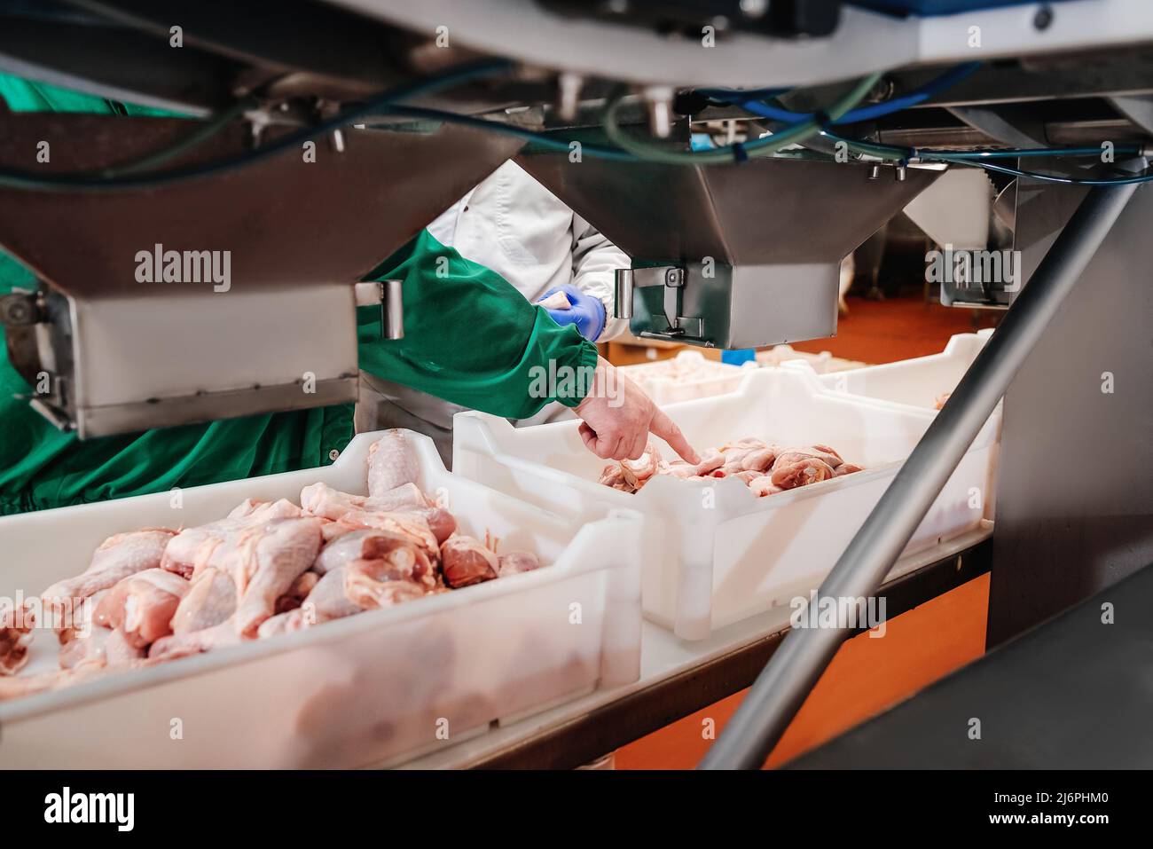 Manufacturing process.Conveyor Belt Food.Automated production line in ...