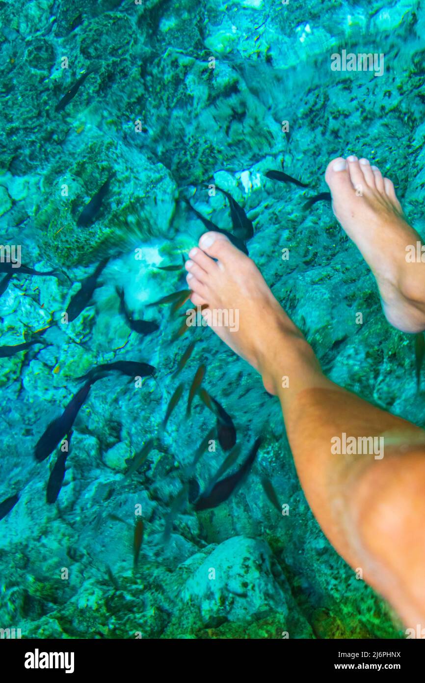 Water bite feet hi-res stock photography and images - Alamy