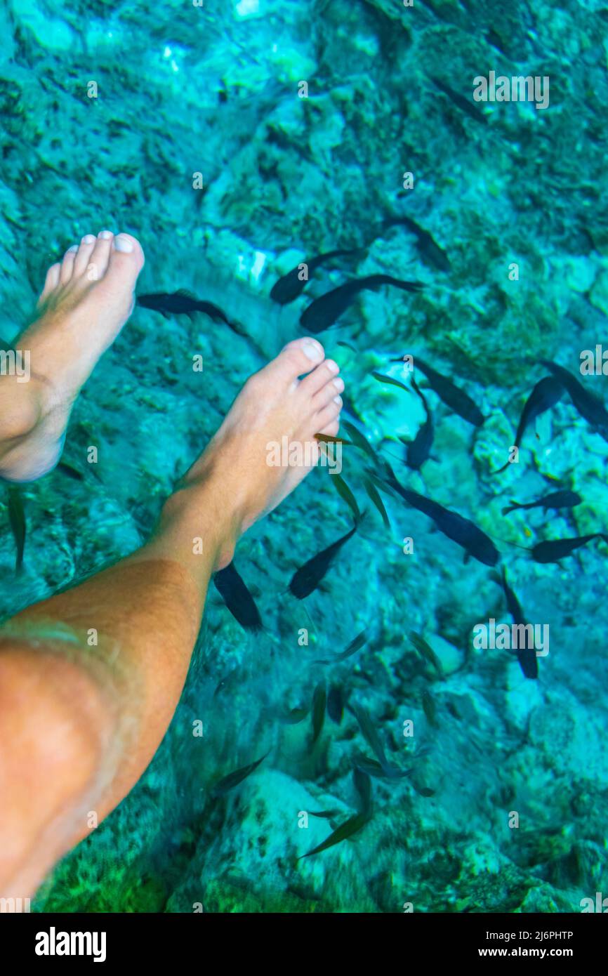 Fish spa pedicure fish bite feet in the amazing blue turquoise water ...
