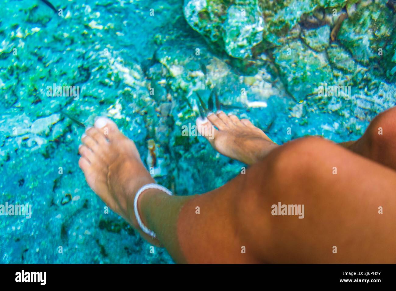Fish spa pedicure fish bite feet in the amazing blue turquoise water ...