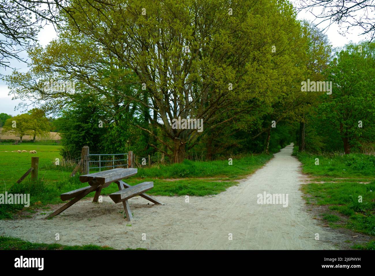 Forest way sussex hi-res stock photography and images - Alamy